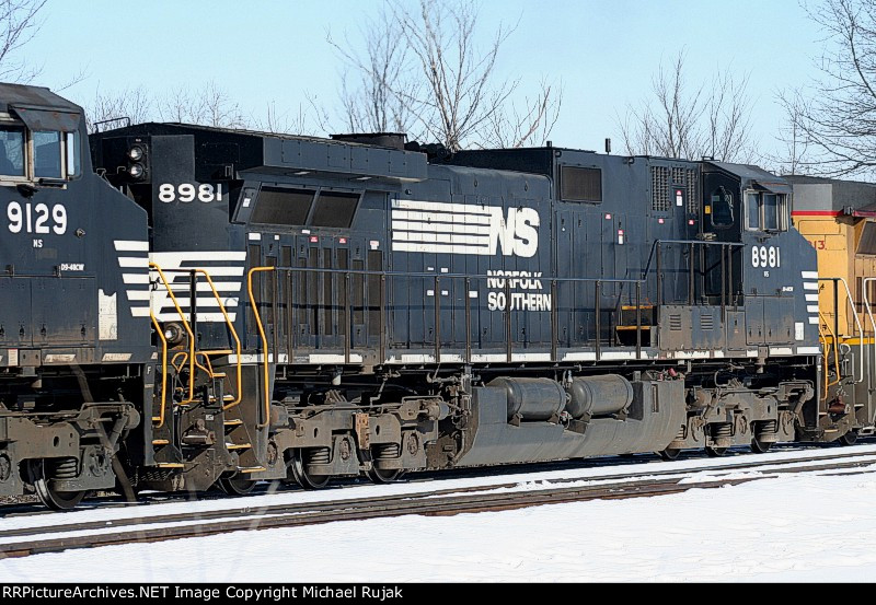 NS 8981